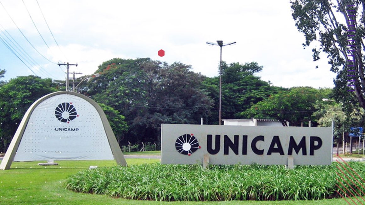 Assuntos que mais caem na Unicamp: veja a lista por disciplina e o que estudar para a primeira fase