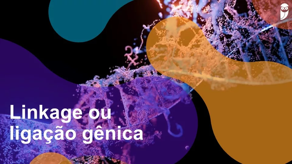 Linkage ou ligação gênica: o que é, importância e questões