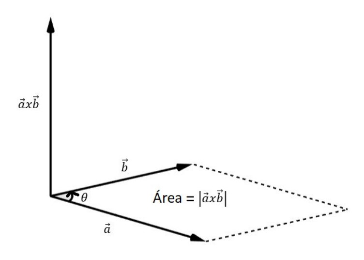 Vetores: definição, decomposição, subtração e mais!