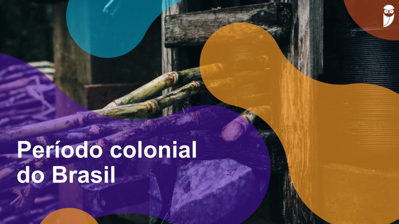 Período colonial do Brasil: início, política, economia e sociedade