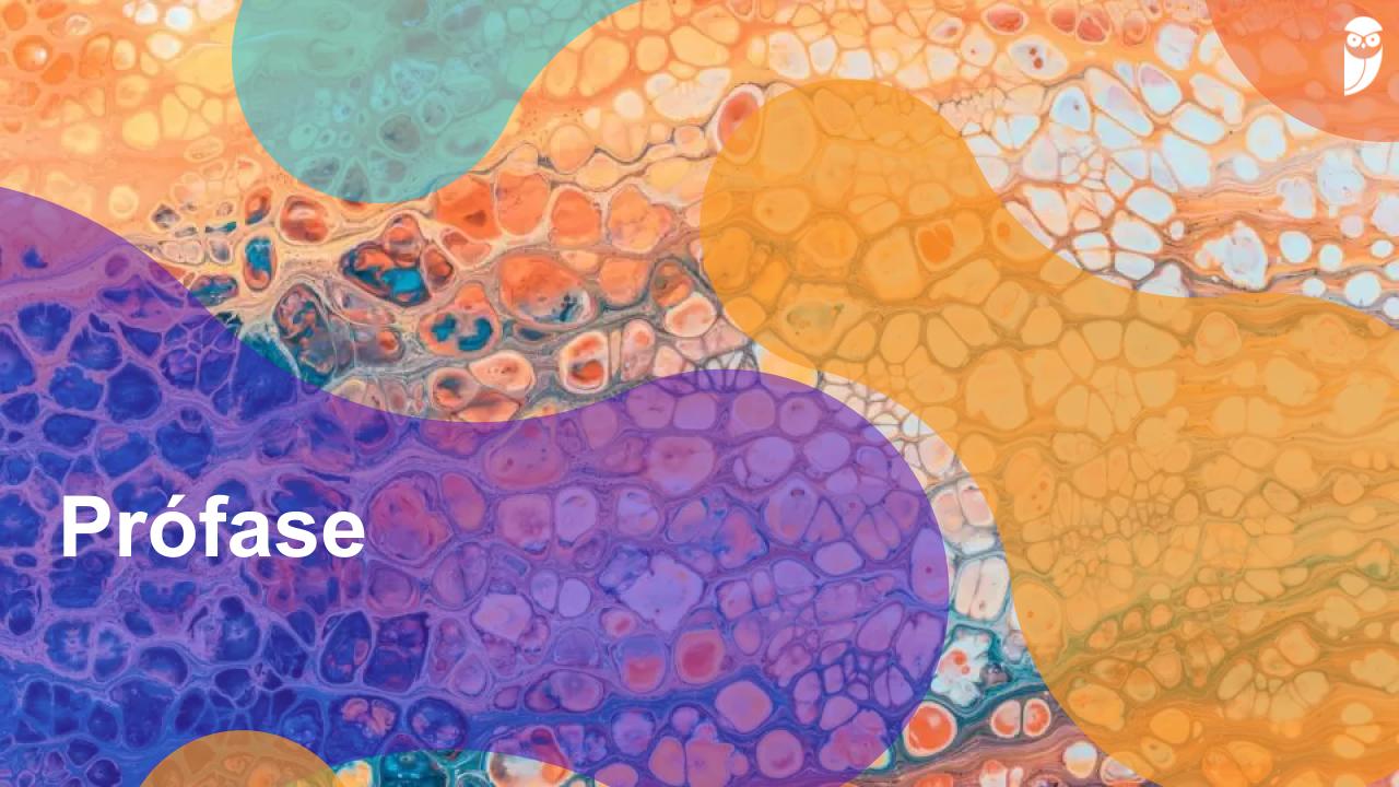 Prófase: o que é, resumo, prófase I e II, questões