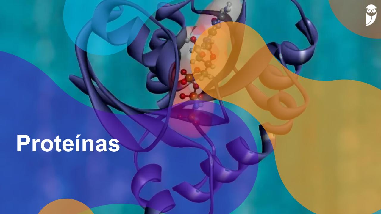 Proteínas: o que são, estrutura, características e aplicações