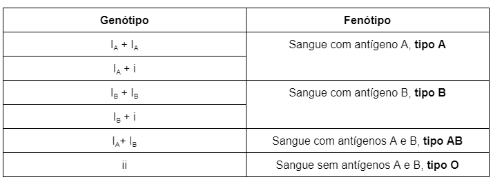 Polialelia: alelos múltiplos, genética, sistema ABO e exemplos