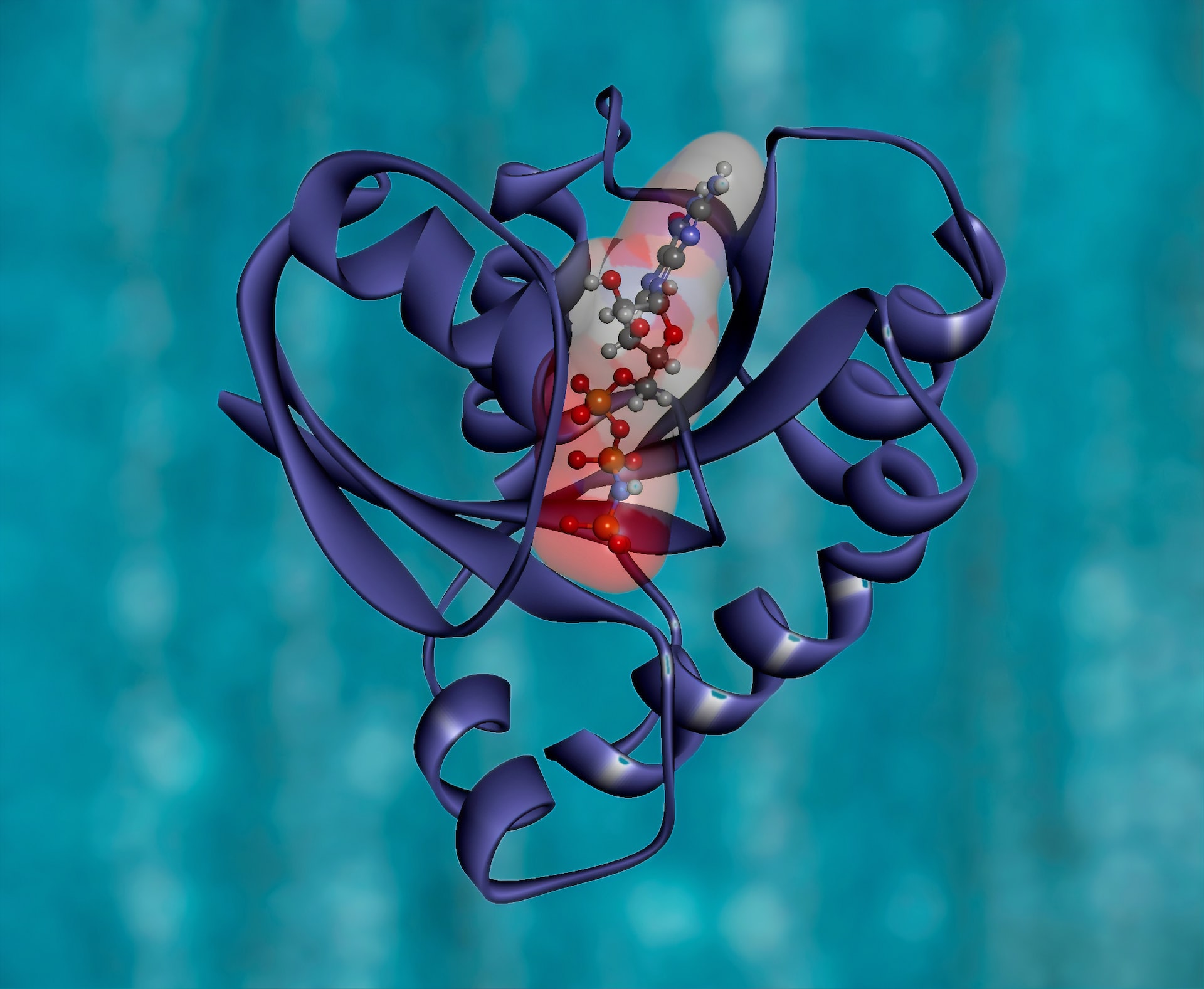 Proteínas: o que são, estrutura, características e aplicações