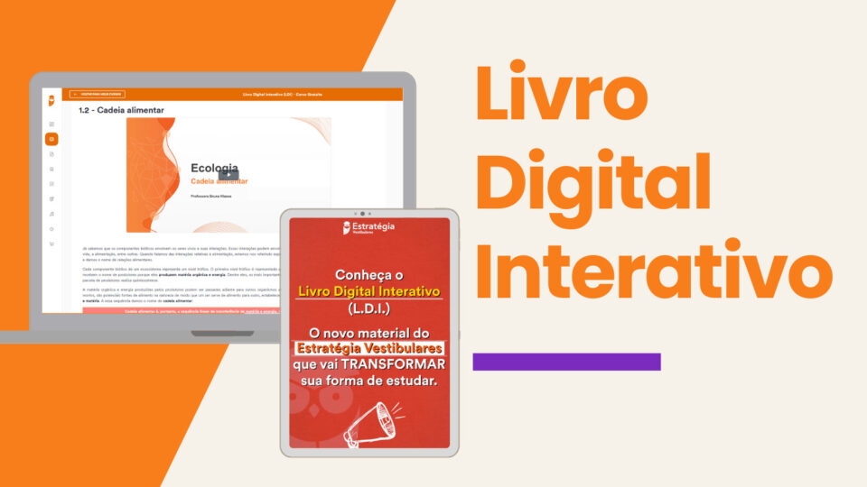 Livro Digital Interativo (LDI): conheça a nova ferramenta do EV